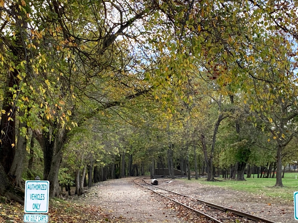 10 Years On: What I’ve Learned – David Kummer