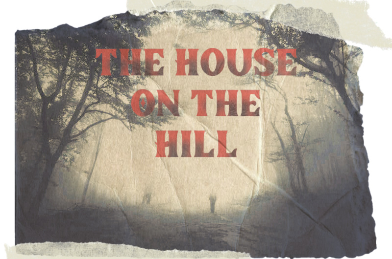 New Book Series – David Kummer